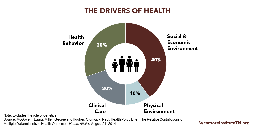The Drivers of Health: 4 Factors that Influence Individual and ...