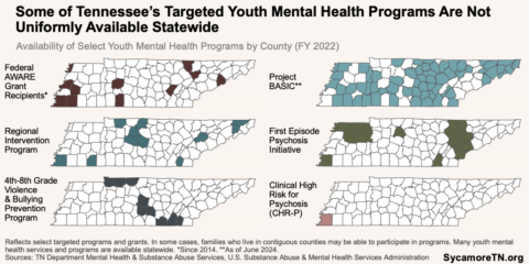 Youth Mental Health in Tennessee: Eight Opportunities for Additional ...