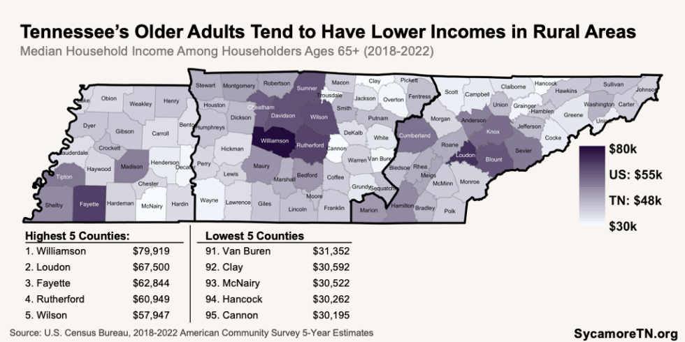 Digital Literacy Among Tennessee’s Older Adults - The Sycamore Institute