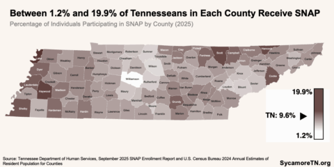 The Supplemental Nutrition Assistance Program (SNAP) in Tennessee - The ...