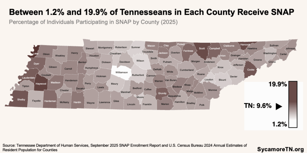 The Supplemental Nutrition Assistance Program (SNAP) in Tennessee - The ...